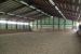 Featured Project - Torokvei Equine | POST Structures Inc